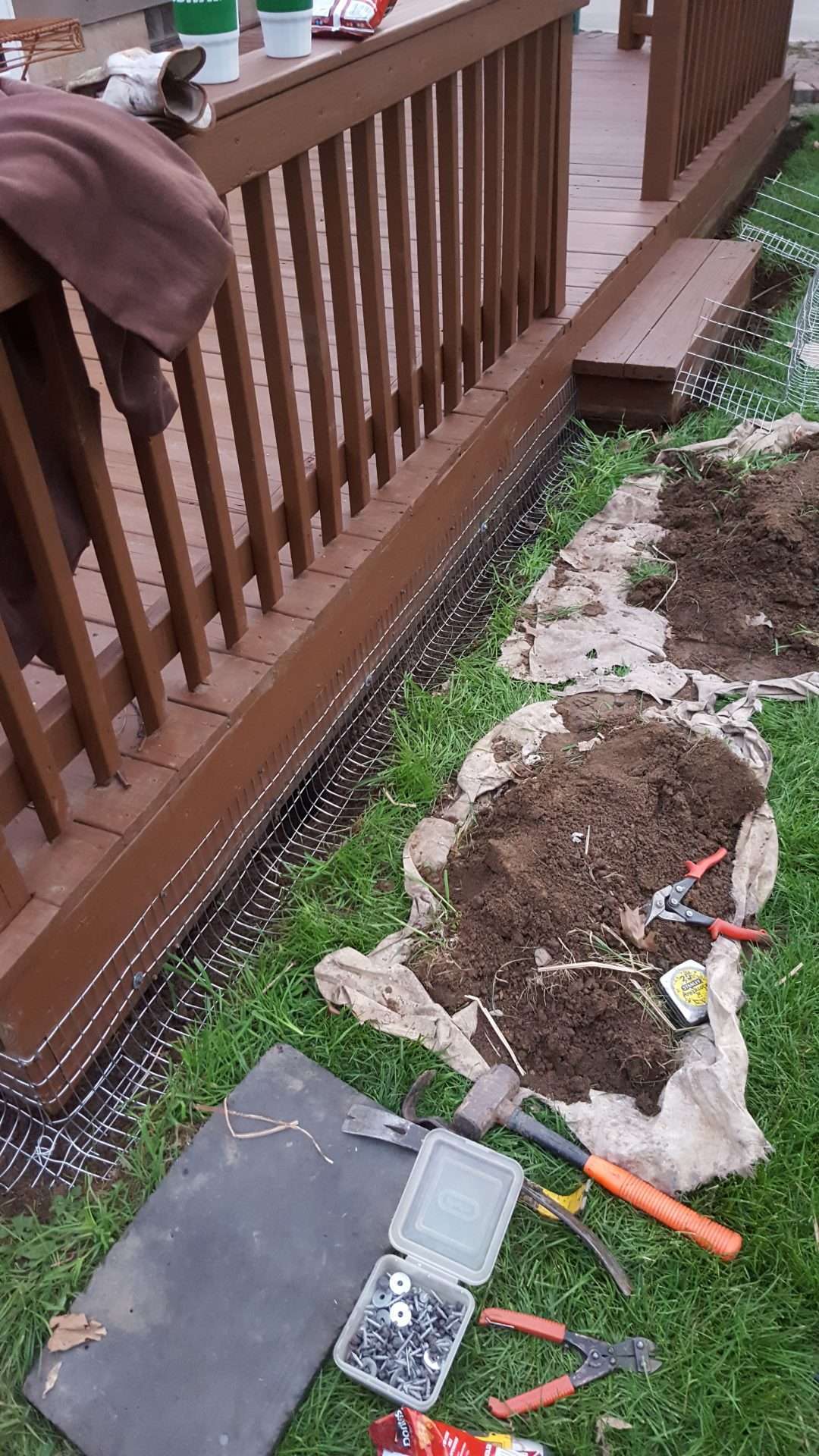 Skunk Control Service & Deck Exclusion by Barnes Wildlife Control