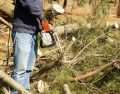 Wildlife Removal & Damage Repairs | Barnes Wildlife Control | Dayton OH