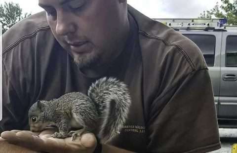 About Barnes Wildlife Control | Serving Greater Dayton Ohio